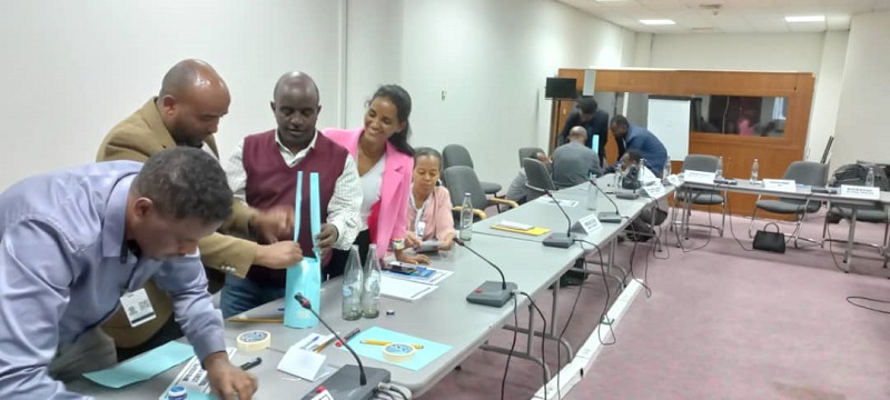 National Capacity Building Workshop: Strengthening Digitization and Entrepreneurship Skills ...